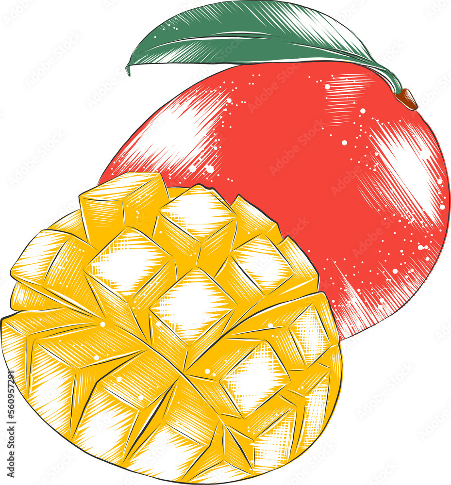 PNG engraved style illustration for posters, decoration, packaging and ...