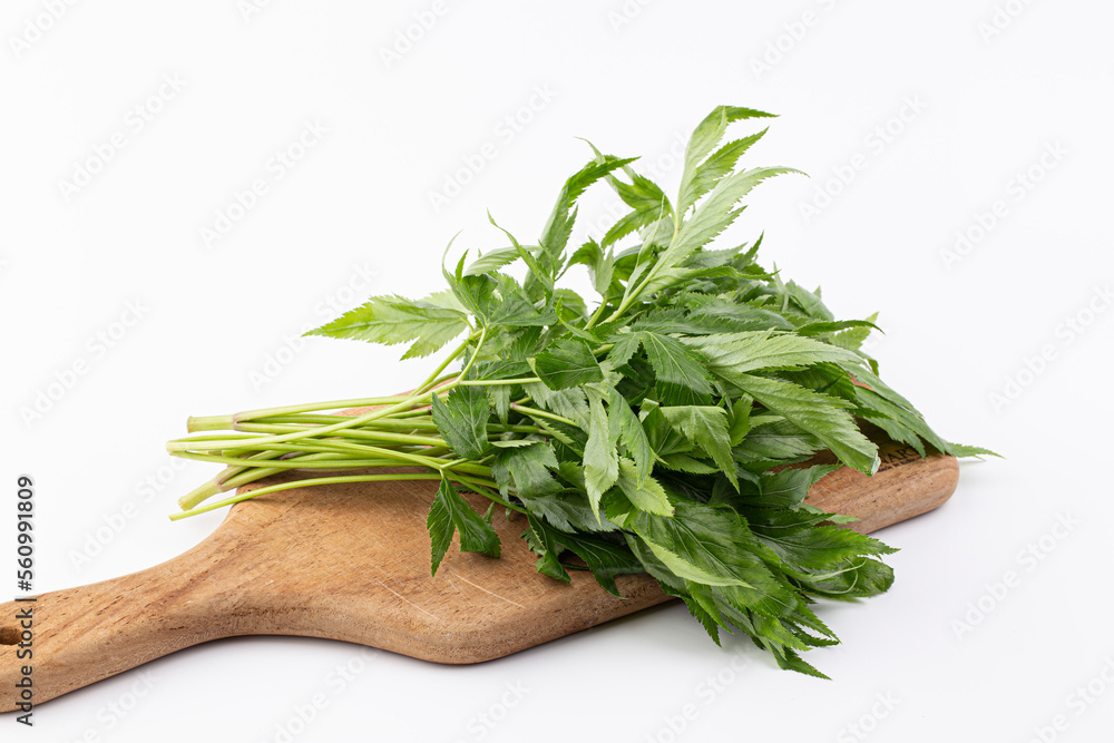 Danggui, a traditional Korean herbal medicine angelica Stock Photo ... Danggui, a traditional Korean herbal medicine angelica Stock Photo ...