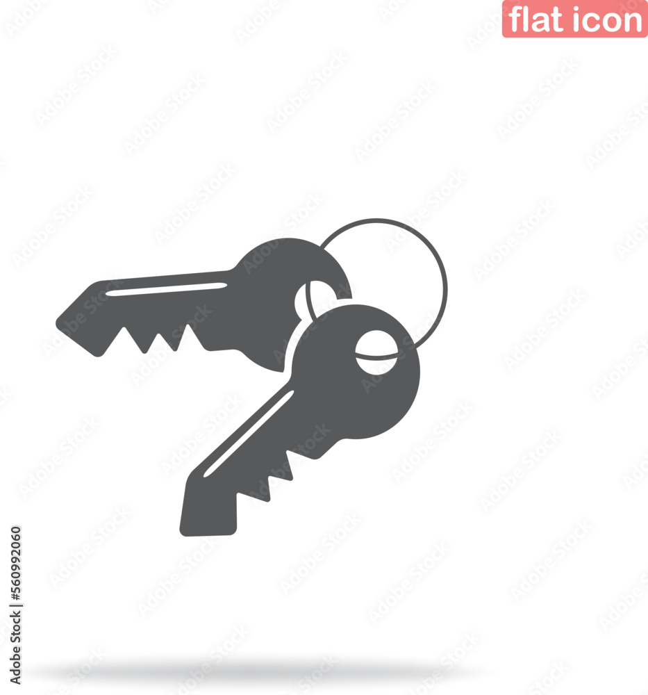 Key icon. Minimalism, vector illustration. Silhouette icon. Stock ...
