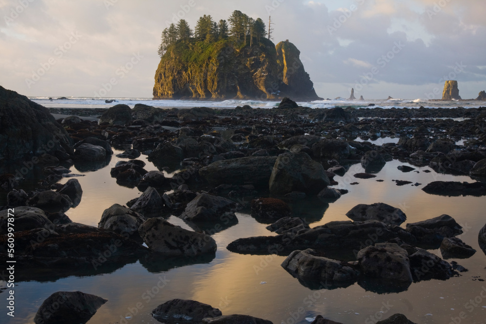 Sunrise light strikes a large sea stack at Second Beach, Olympic ...