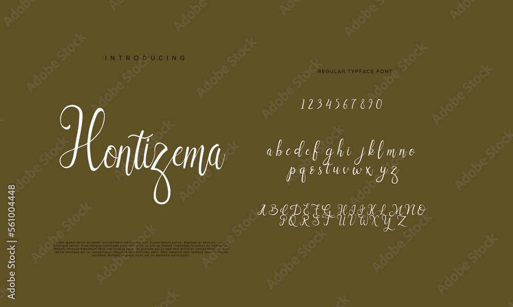 Handwritten Script font. Hand drawn brush style modern calligraphy ...