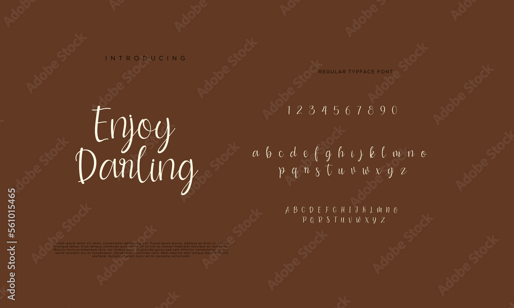 Handwritten Script font. Hand drawn brush style modern calligraphy ...