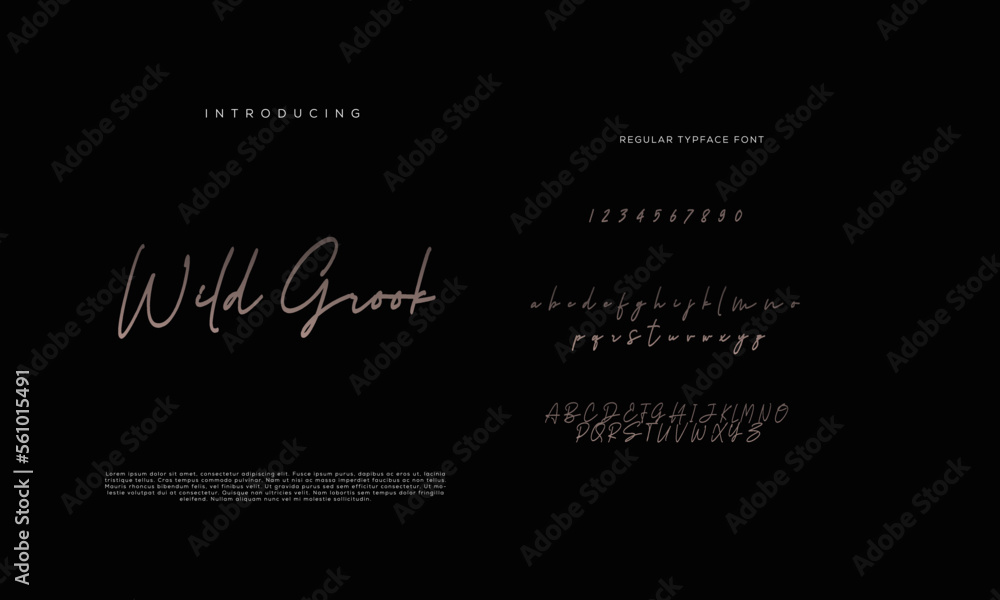 Handwritten Script font. Hand drawn brush style modern calligraphy ...