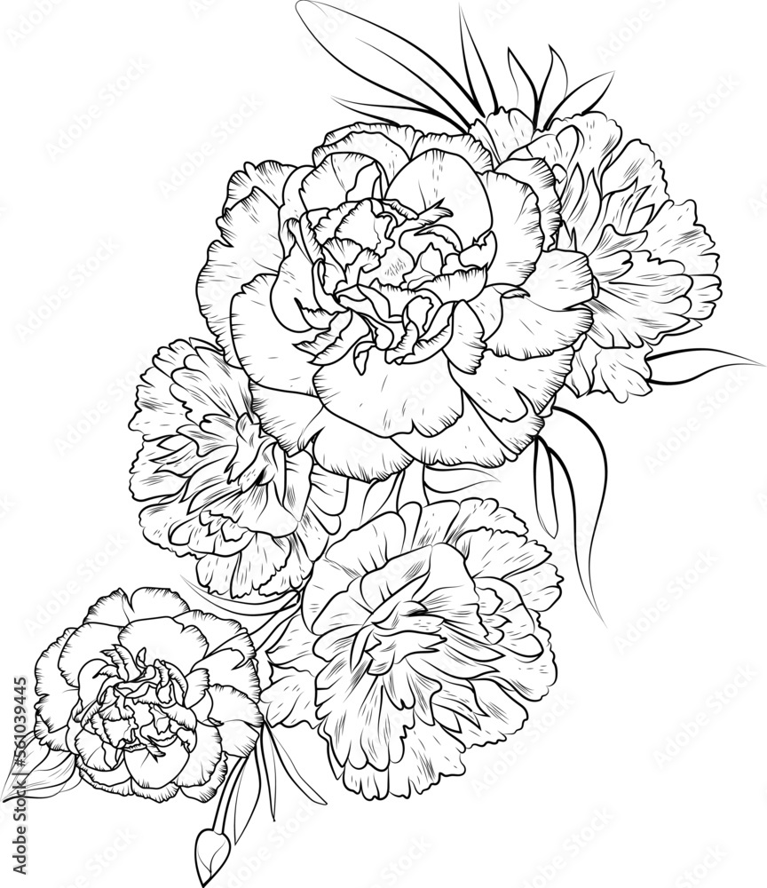 Set of a decorative stylized carnation flower isolated on white ...