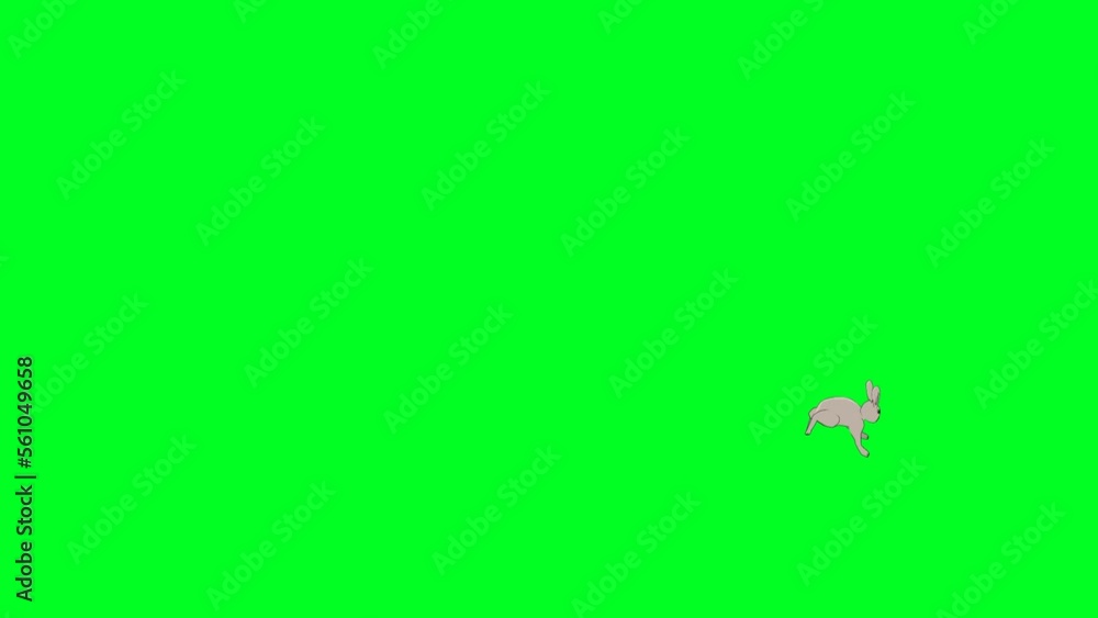 (Green screen animation) 2D rabbit running that enters the scene from ...
