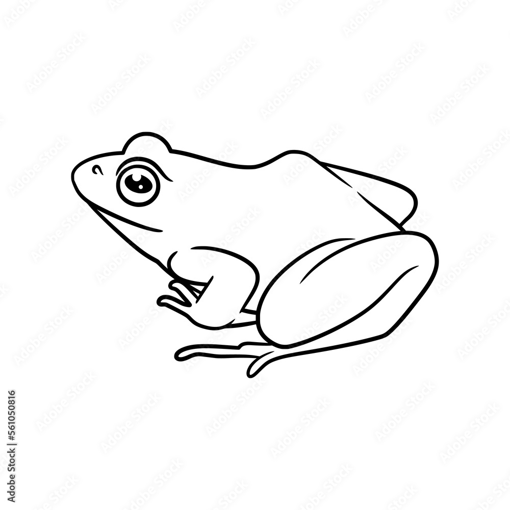 Frog line art drawing illustration Stock Vector | Adobe Stock