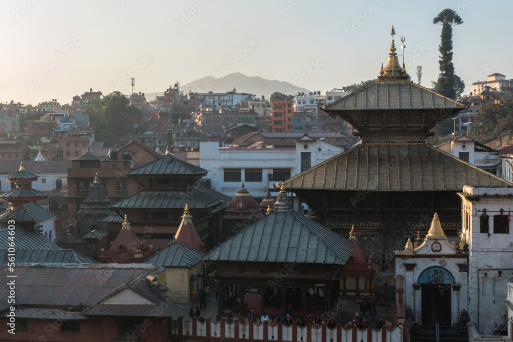 Pashupatinath Temple, is a Hindu temple dedicated to Lord Shiva located ...