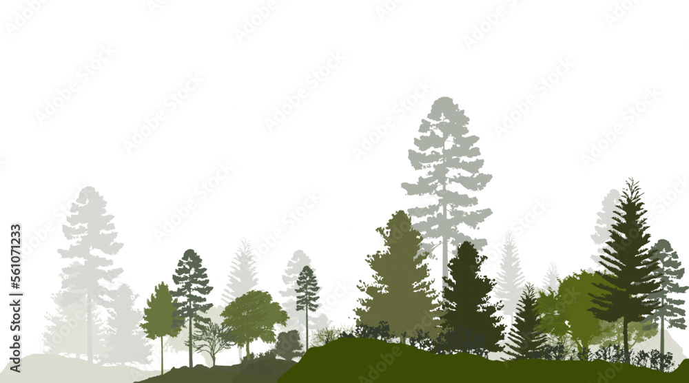 Forest silhouette trees. Vector illustration of every tree isolated ...