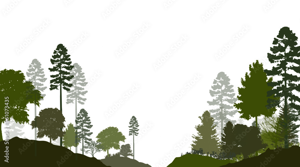 Forest silhouette trees. Vector illustration of every tree isolated ...
