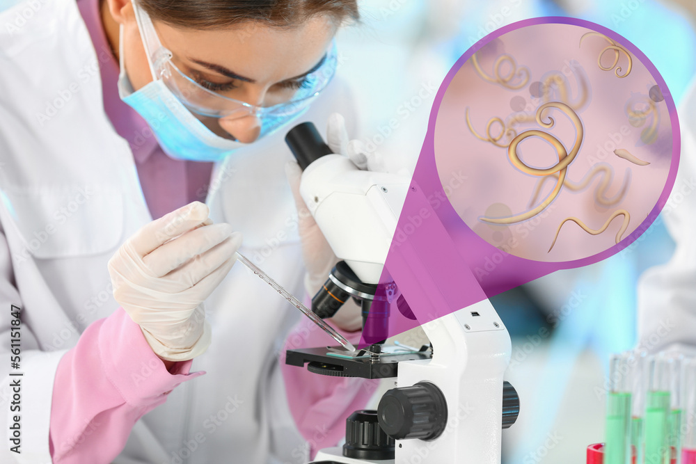 Laboratory worker using modern microscope to examine helminths indoors ...