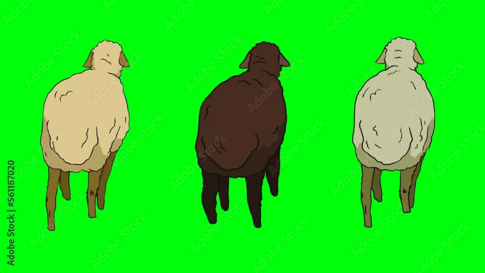 (Green screen animation) 2D character walking cycle of three sheep from ...