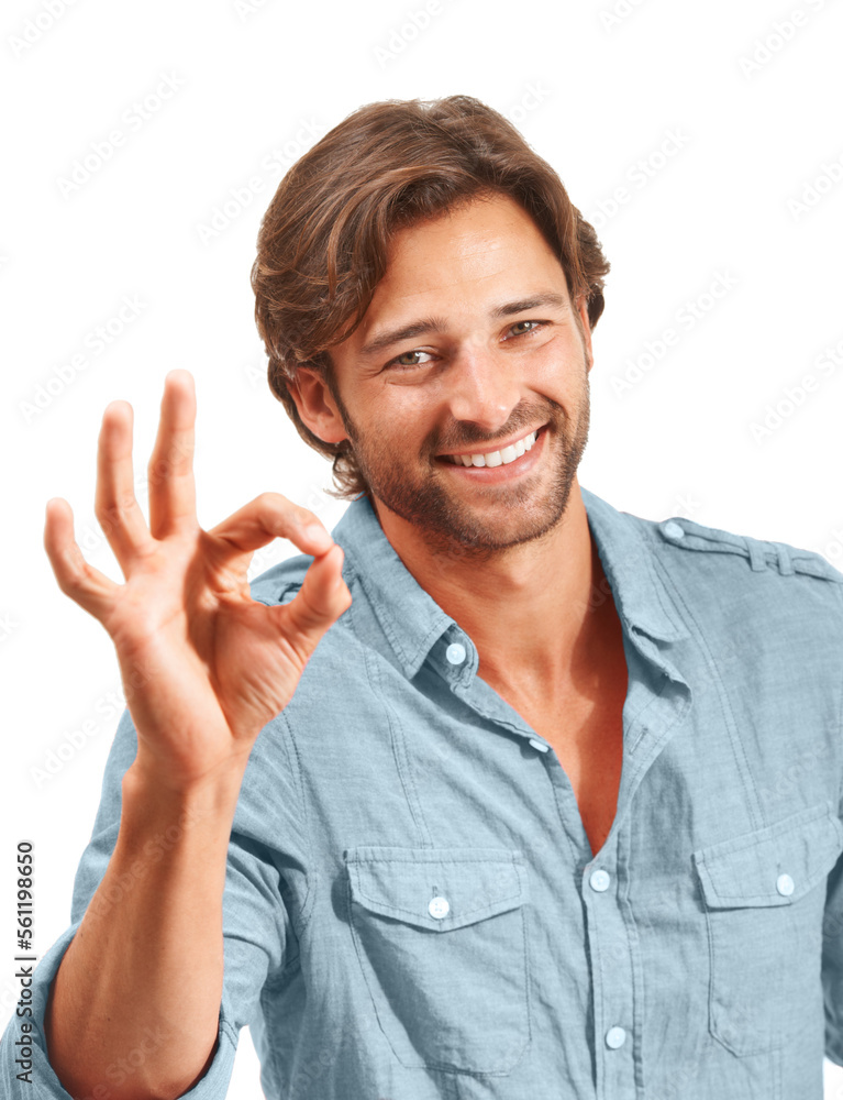 Man with smile, Ok hand sign and agreement in portrait, good review ...