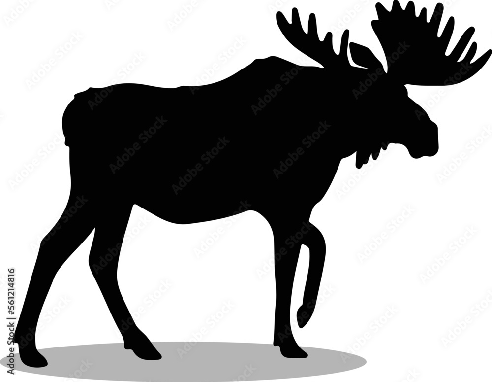Vetor de Moose Silhouette, cute Moose Vector Silhouette, Cute Moose ...