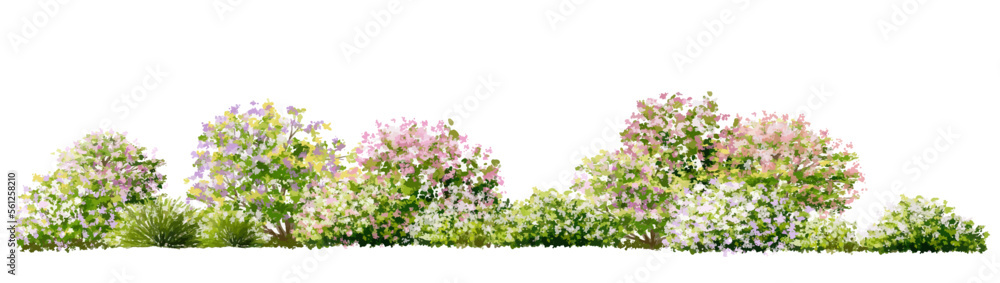 Vector watercolor blooming flower tree side view isolated on white ...