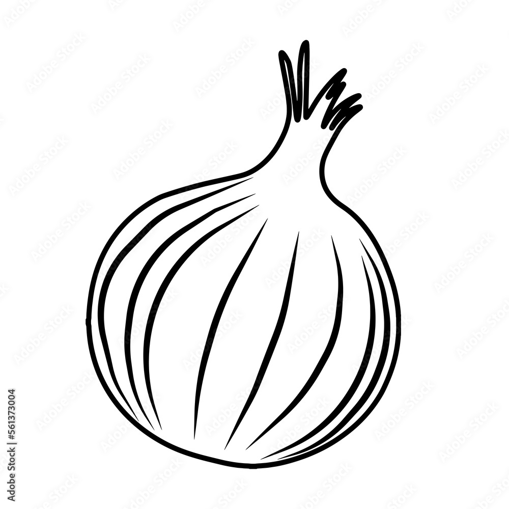 Onion simple icon. PNG illustration isolated on transparent background ...