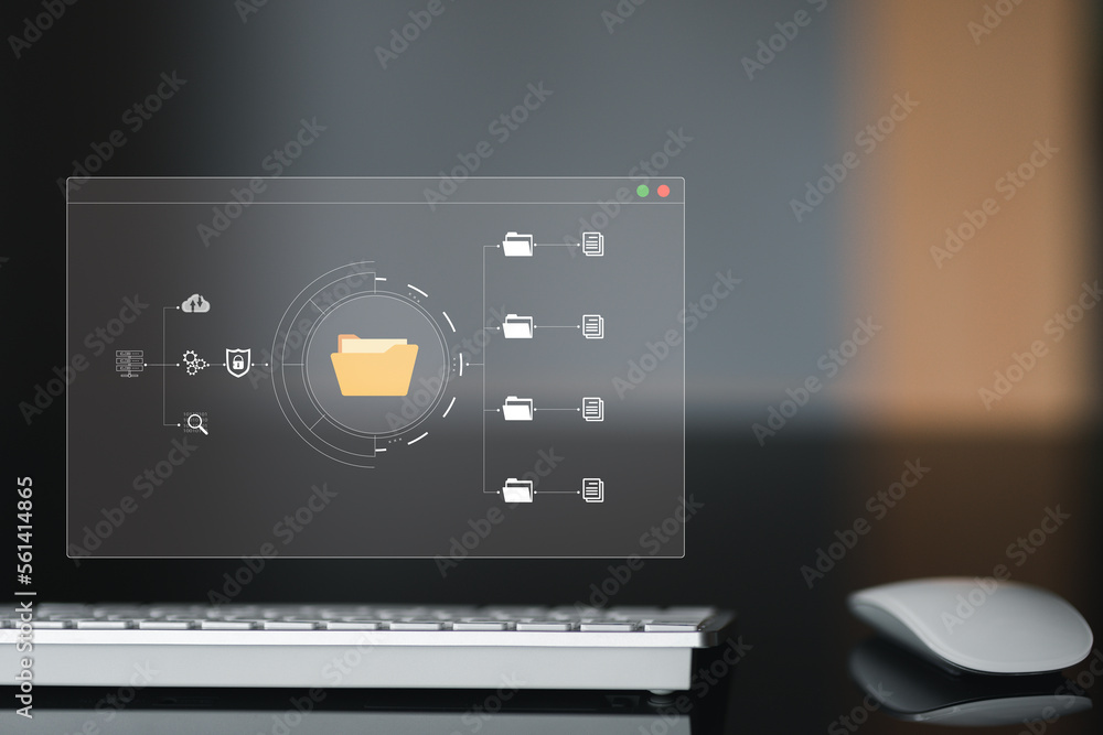 Document Management System (DMS) being setup by IT consultant working ...