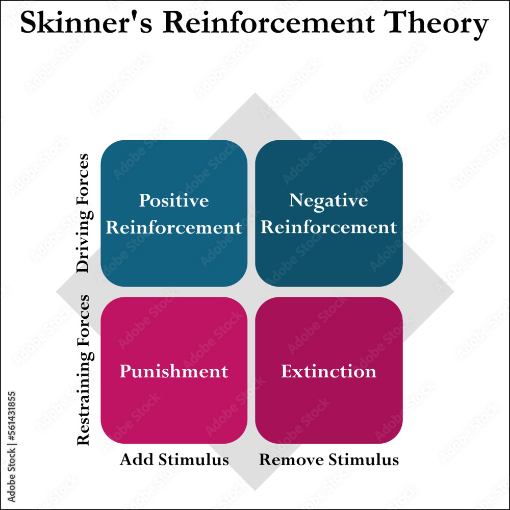 Vecteur Stock Skinner's Reinforcement theory in a matrix infographic theory | Adobe Stock