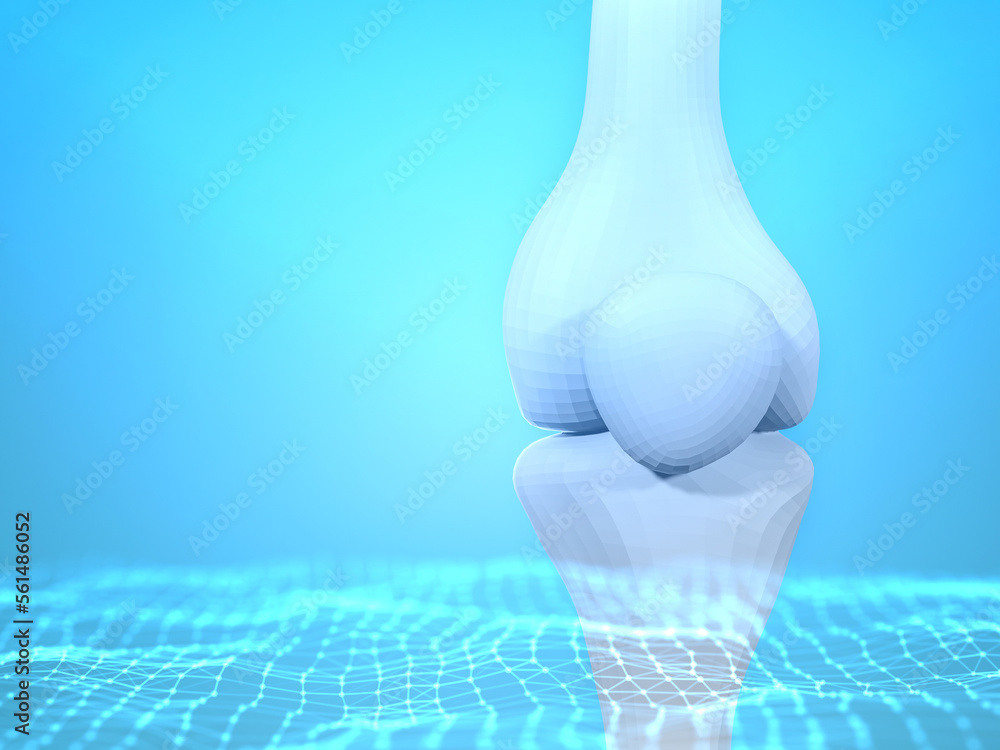 Knee joint on blue background with copy space for text. Bone human ...