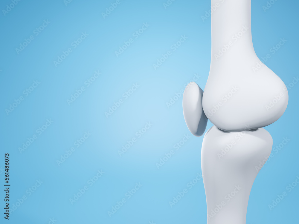 Knee joint on blue background with copy space for text. Bone human ...