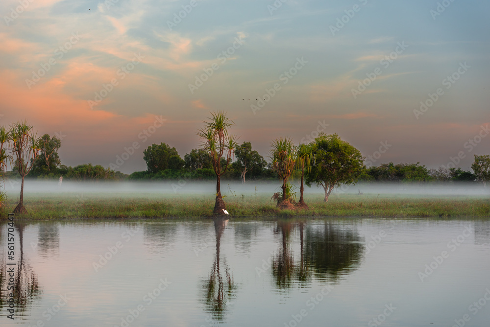 Sumpf Australien Stock Photo | Adobe Stock