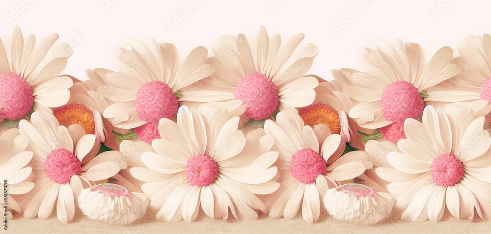 Pink Daisy Border
