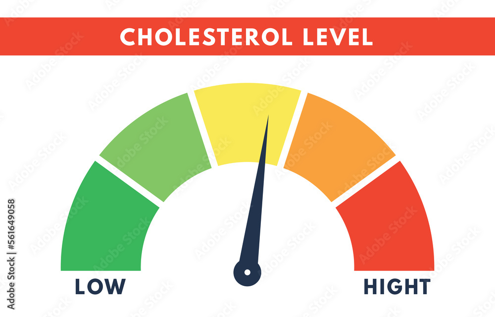 Cholesterol Meter. Level scale of hyperlipidemia. Check of blood ...