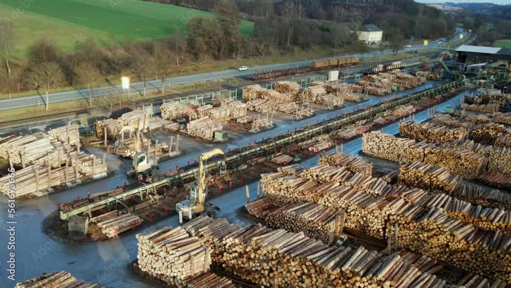 An Aerial View of Log Loader sorting the logs which coming out of the ...
