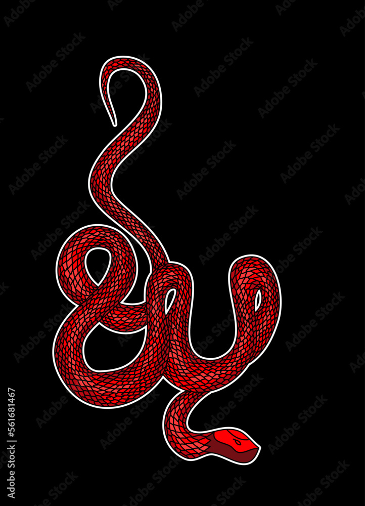 red snake vector.Lampropeltis triangulum vector.Sticker and hand drawn ...