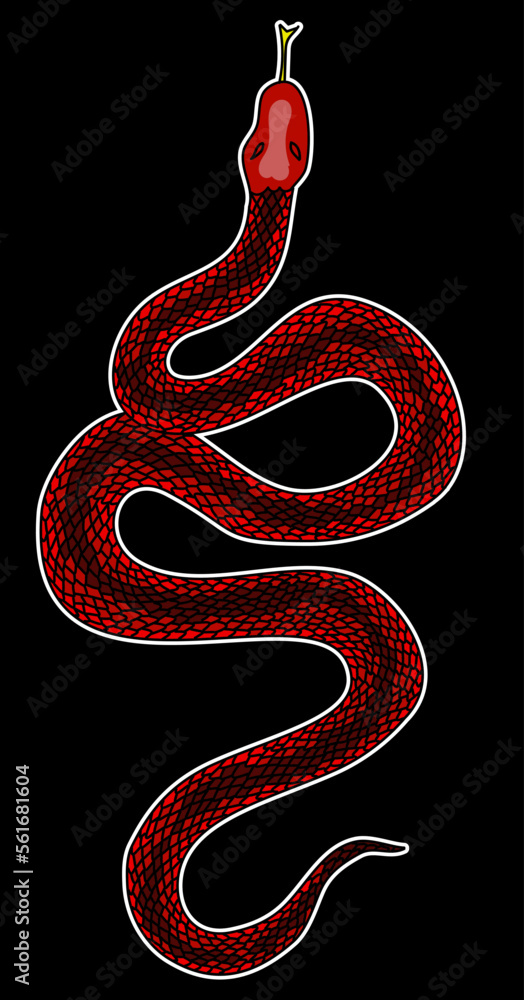 red snake vector.Lampropeltis triangulum vector.Sticker and hand drawn ...