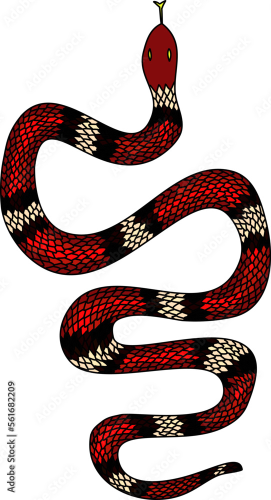 red snake vector.Lampropeltis triangulum vector.Sticker and hand drawn ...
