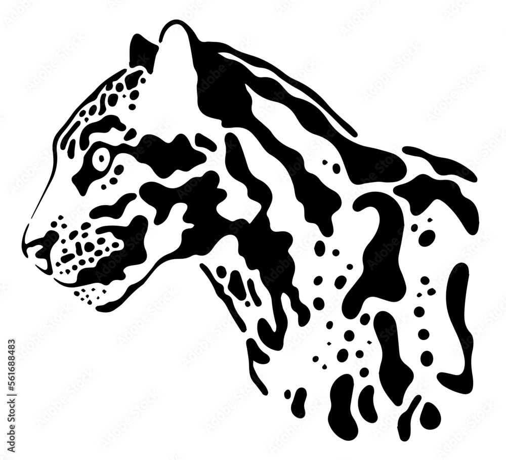 clouded leopard head vector illustration black and white Stock Vector ...