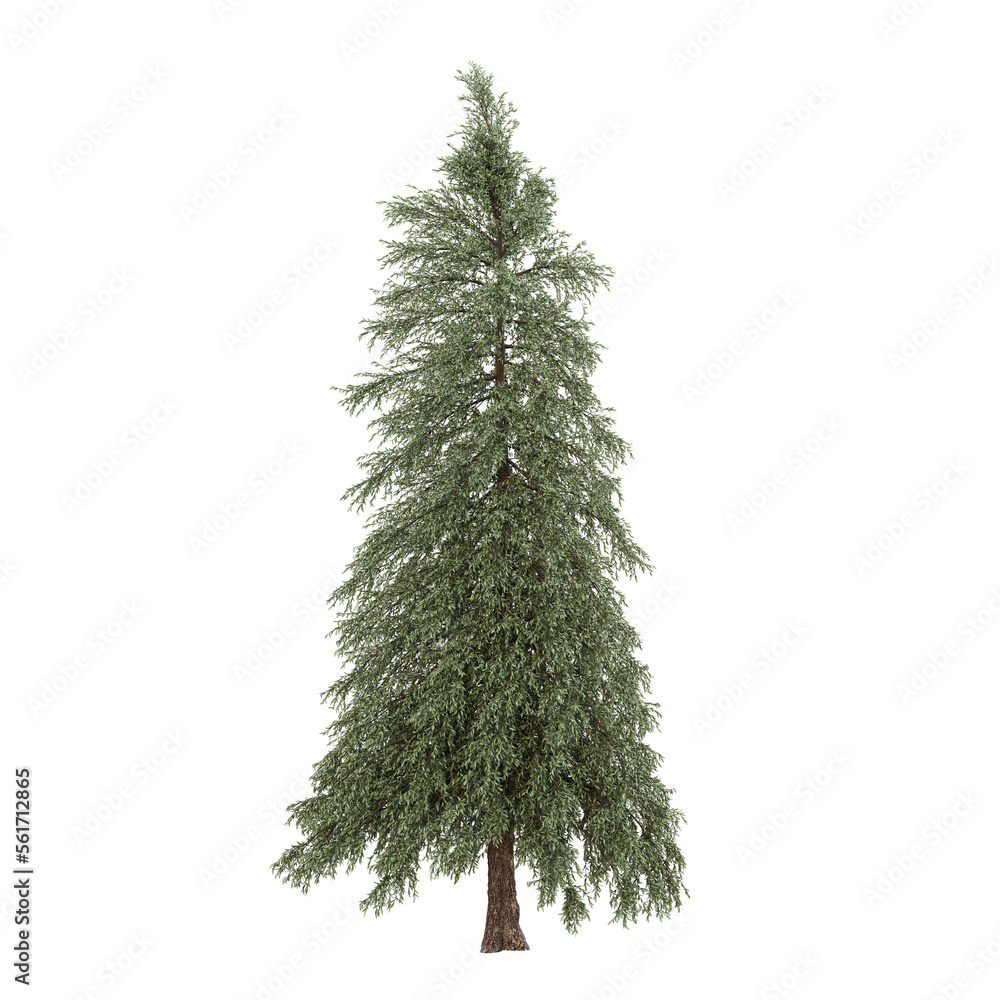 Ilustrace „Tree isolated PNG transparent background, for architectural ...