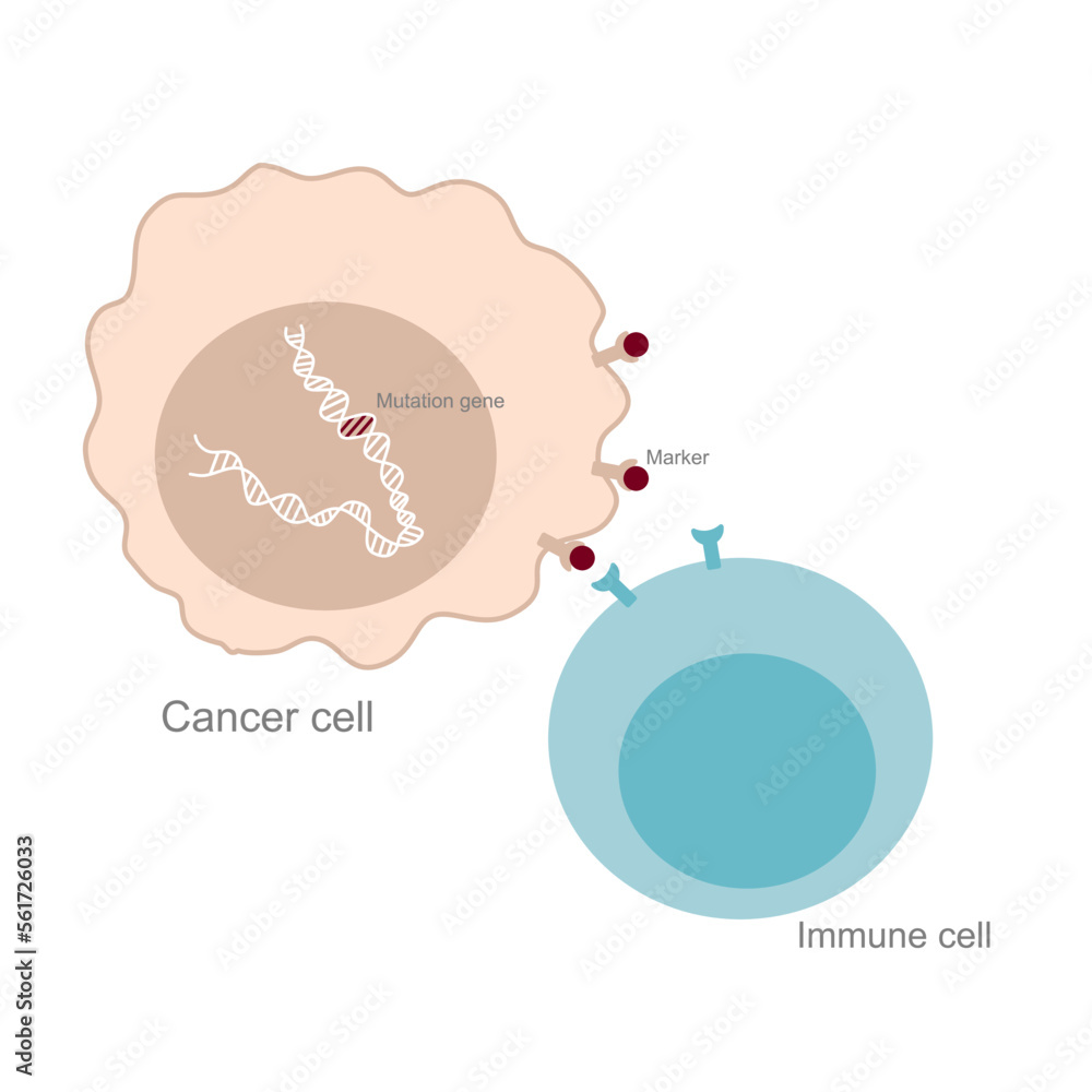 The cancer cell that has mutation gene inside that presents the markers ...