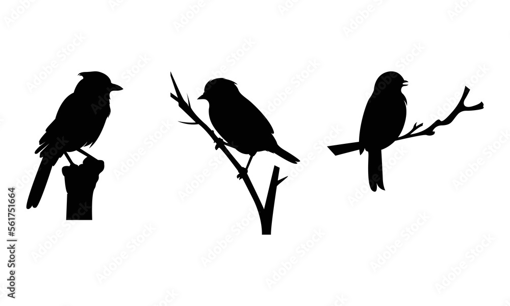 Bird silhouette icon symbol illustration vector set bundle asset ...