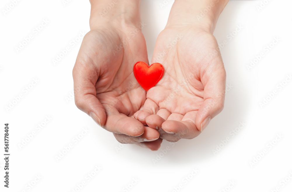 Female palms hold a tiny red heart. Symbol of protection of love. Stock ...