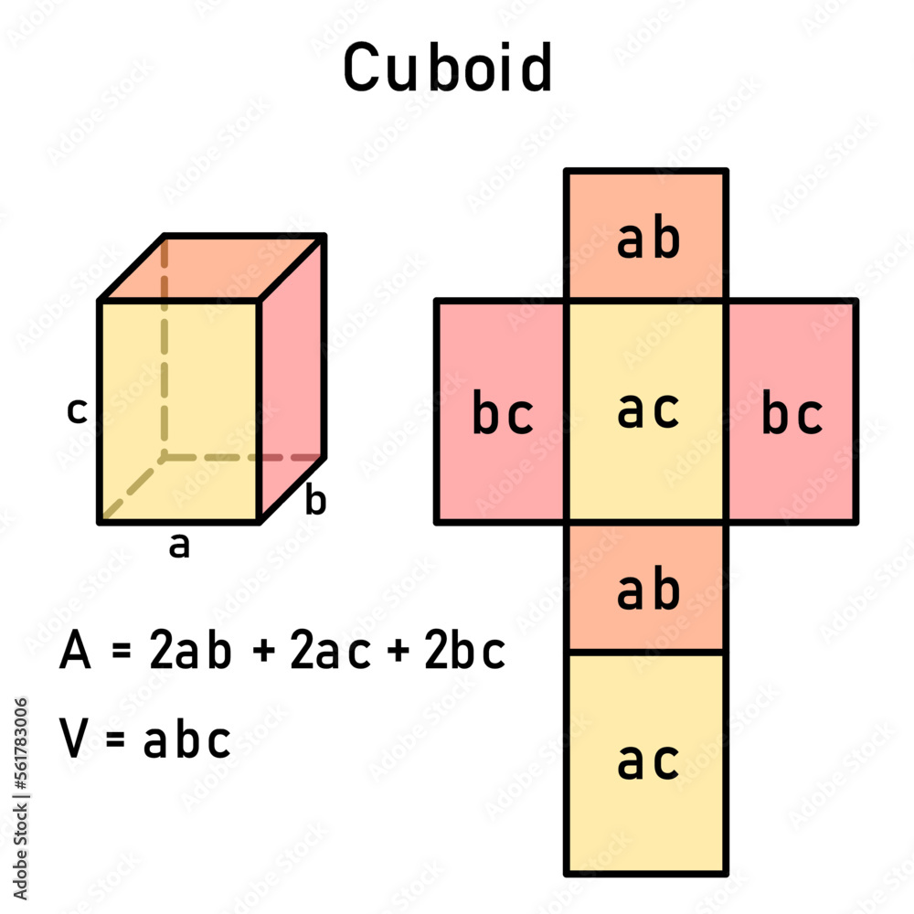 Graphical derivation of the area and volume of a cuboid using its mesh ...