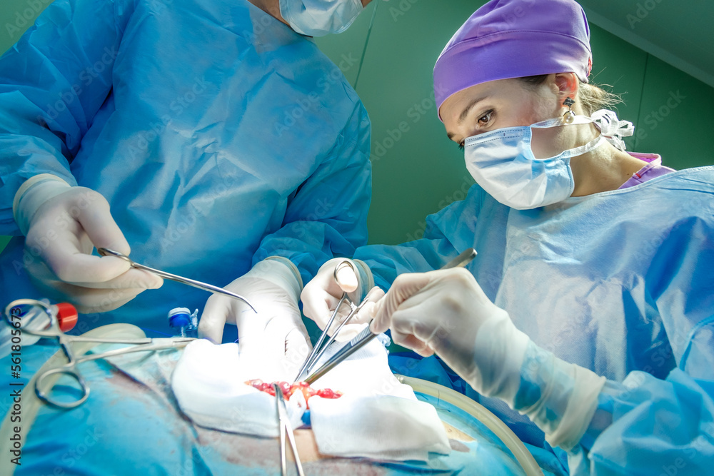 A female surgeon operates on a patient with surgical instruments in the ...