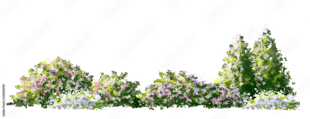 Vector watercolor blooming flower tree side view isolated on white ...
