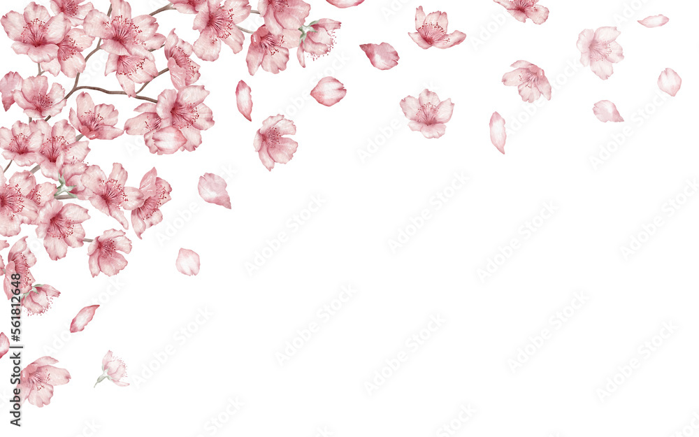Watercolor floral ‚Äì Border Sakura, Cherry blossom, spring flowers ...