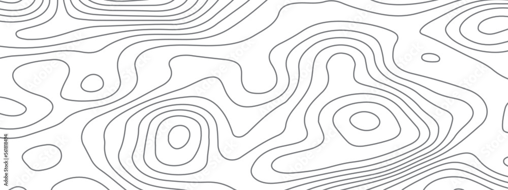 Abstract white topography background. Topographic contours map ...