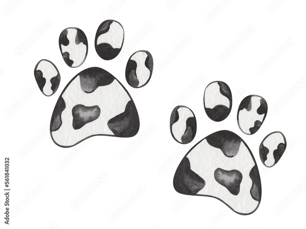 Watercolor illustration of hand painted black and white paw print of ...