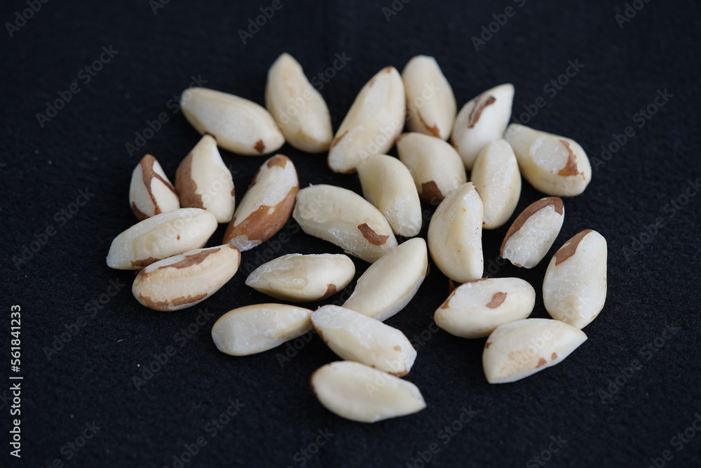 The well-known Para nuts, (Bertholletia excelsa) Lecythidaceae family ...