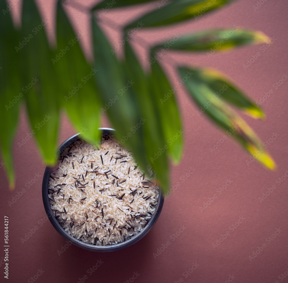Raw wild rice in a black bowl, view through the green leaves of a ...