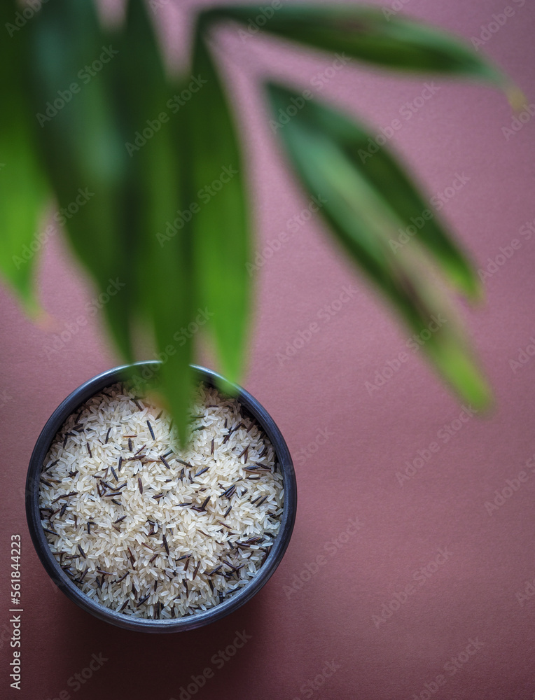 Raw wild rice in a black bowl, view through the green leaves of a ...