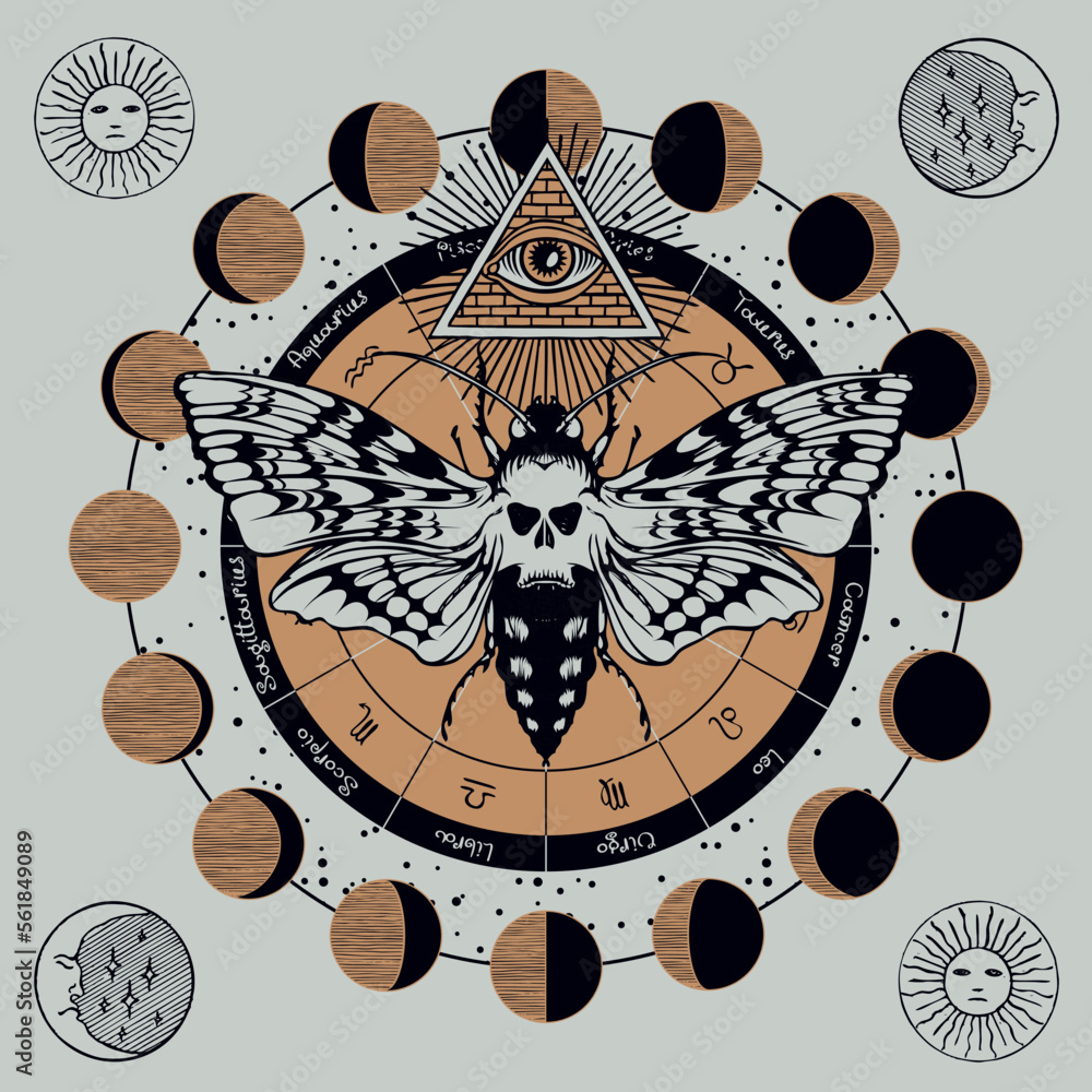 Hand-drawn scary butterfly moth dead head on the background of magical ...