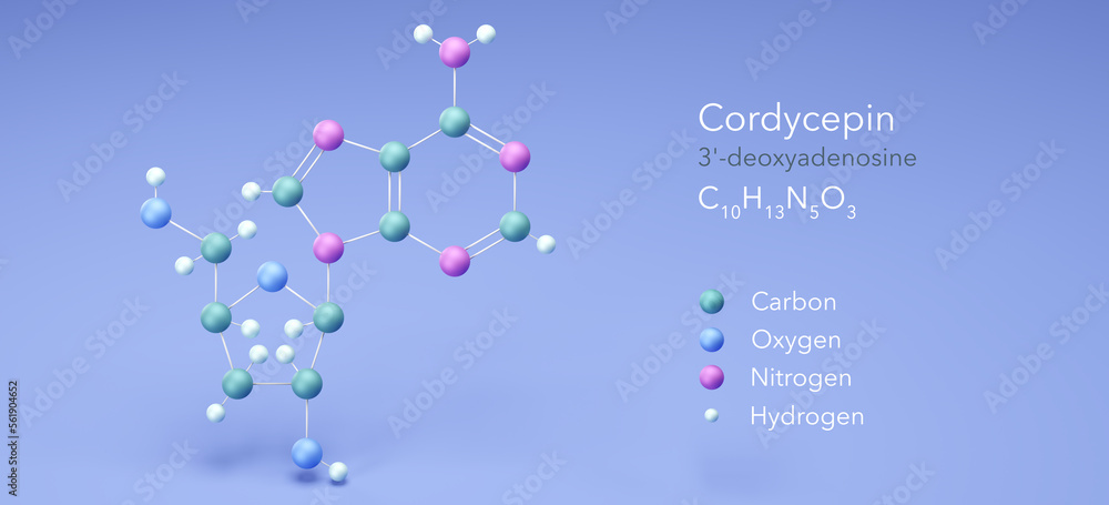 cordycepin molecule, molecular structures, 3'-deoxyadenosine 3d model, Structural Chemical ...