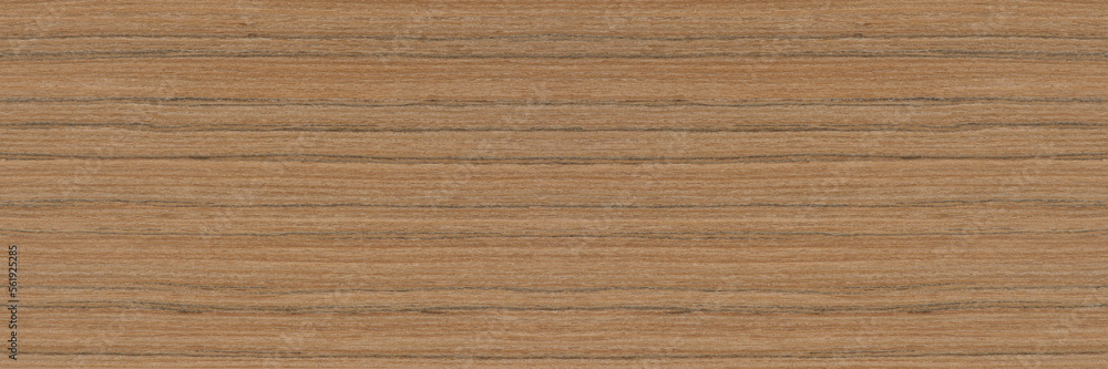Zebra tree. Texture of brown wood with horizontal black stripes ...