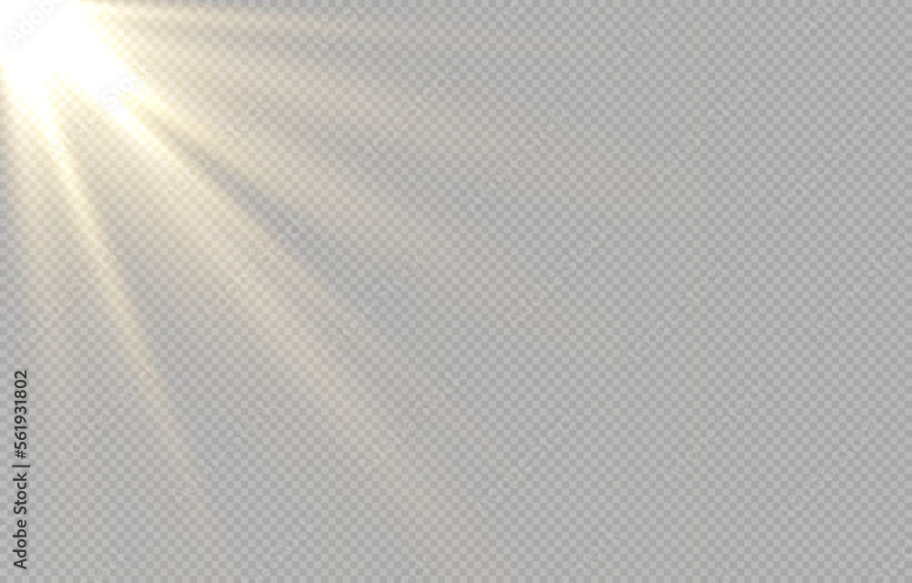Light, sun on an isolated transparent background. The rays of the sun ...