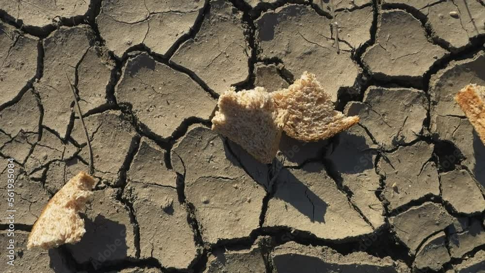 global food crisis in 2023, drought and war affecting food prices ...