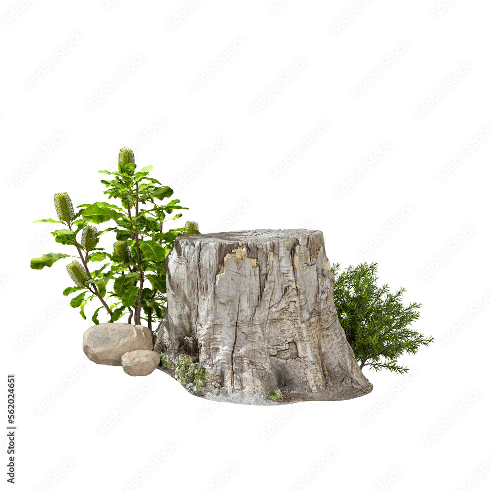 Tree stump cut out backgrounds 3d rendering png files Stock ...